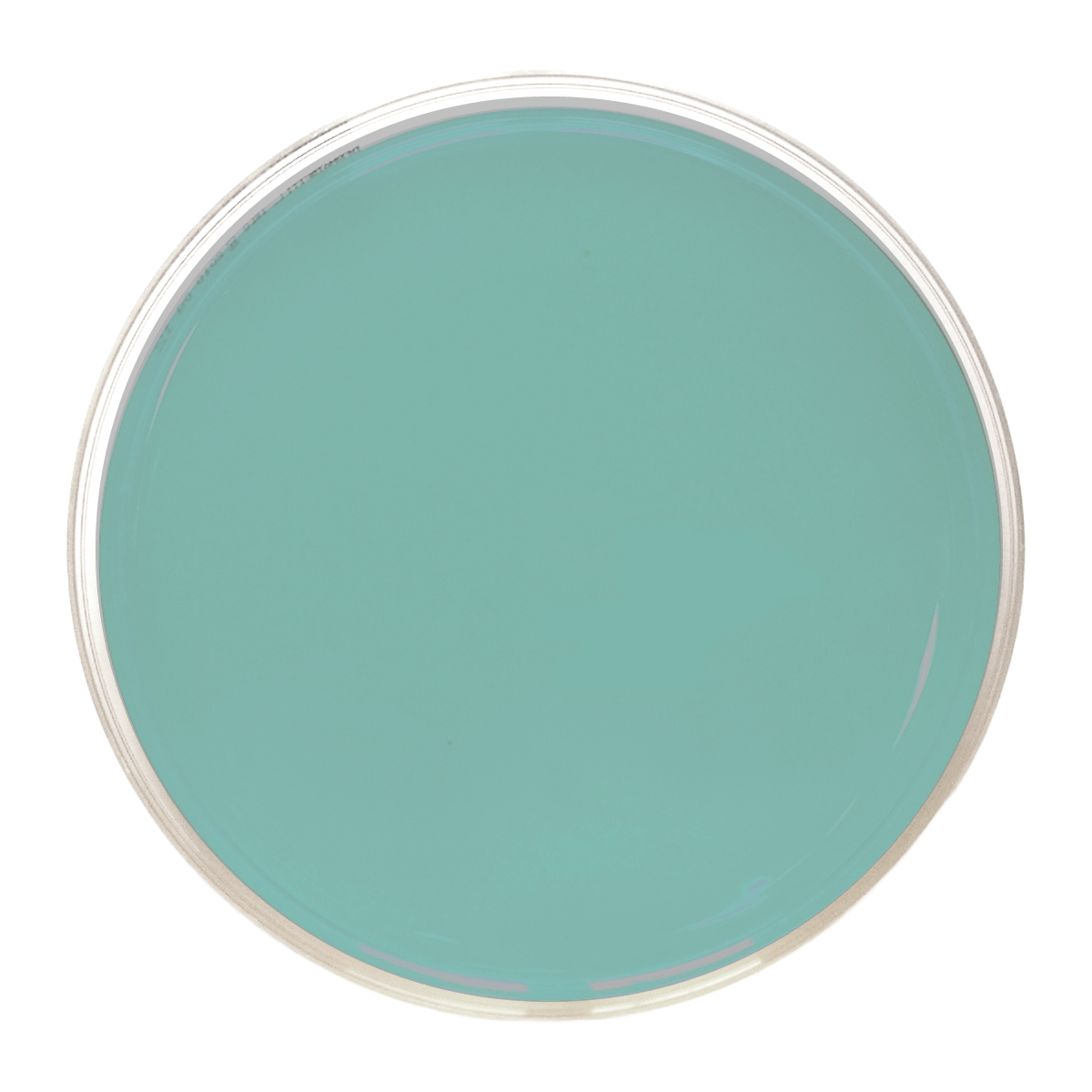 Hektoen Enteric Agar ISO (90 mm)