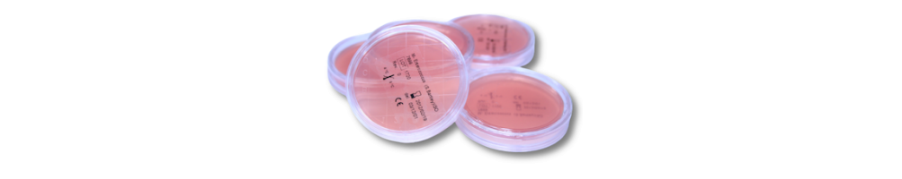 Ready to use dishes, irradiated triple wrapped for clean room