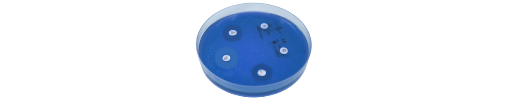 Antibiotic susceptibility test discs